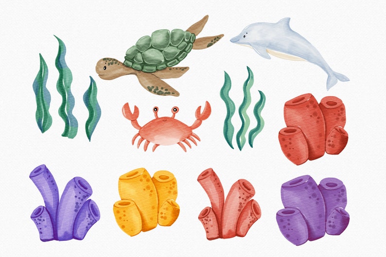 Watercolor Ocean Animals Clipart Sea Creatures Clipart - Etsy