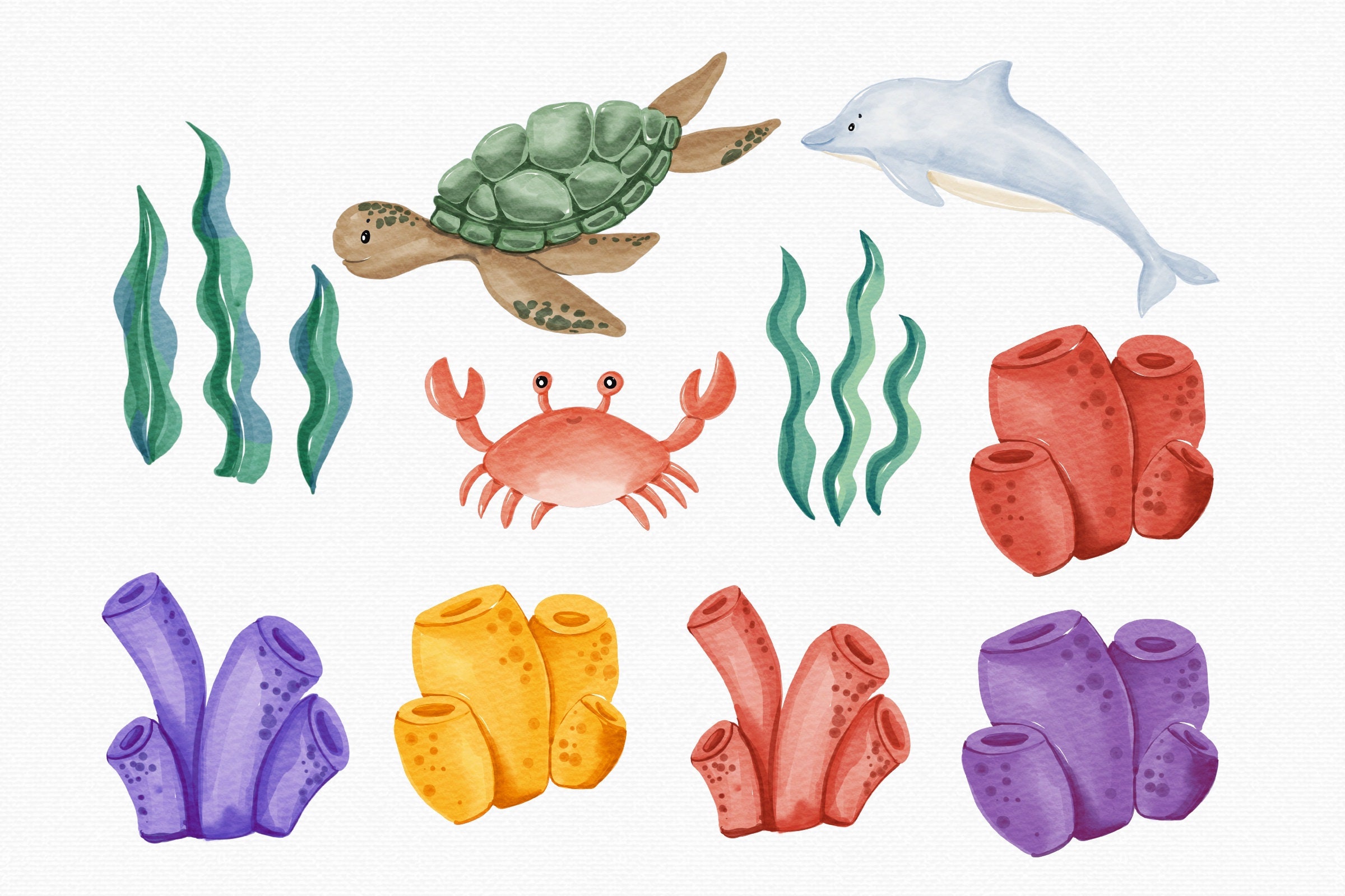 Watercolor Ocean Animals Clipart: Sea Life PNG (digital Download) - Etsy