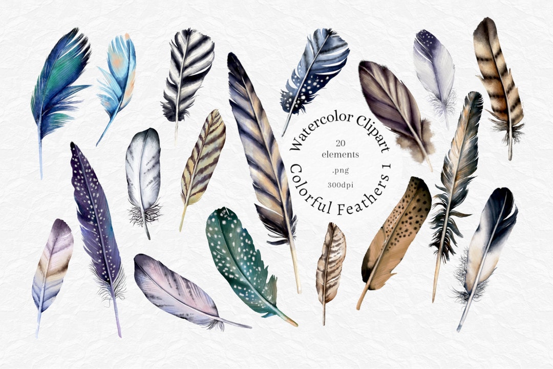 Watercolor Feather Clipart Set: Boho Wedding Invitation Graphics ...