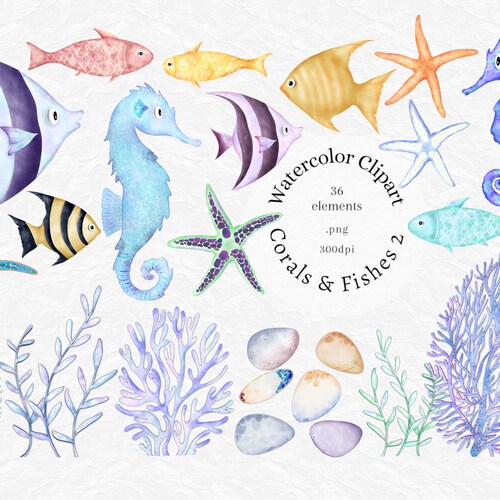 Watercolor Seashells Clipart Nautical Clip Art Summer Beach - Etsy