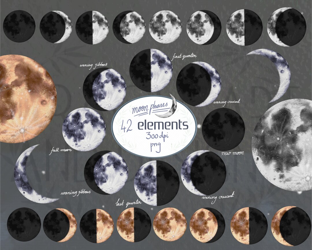 Watercolor Moon Phases Clipart: Lunar Cycle PNG (digital Download) - Etsy