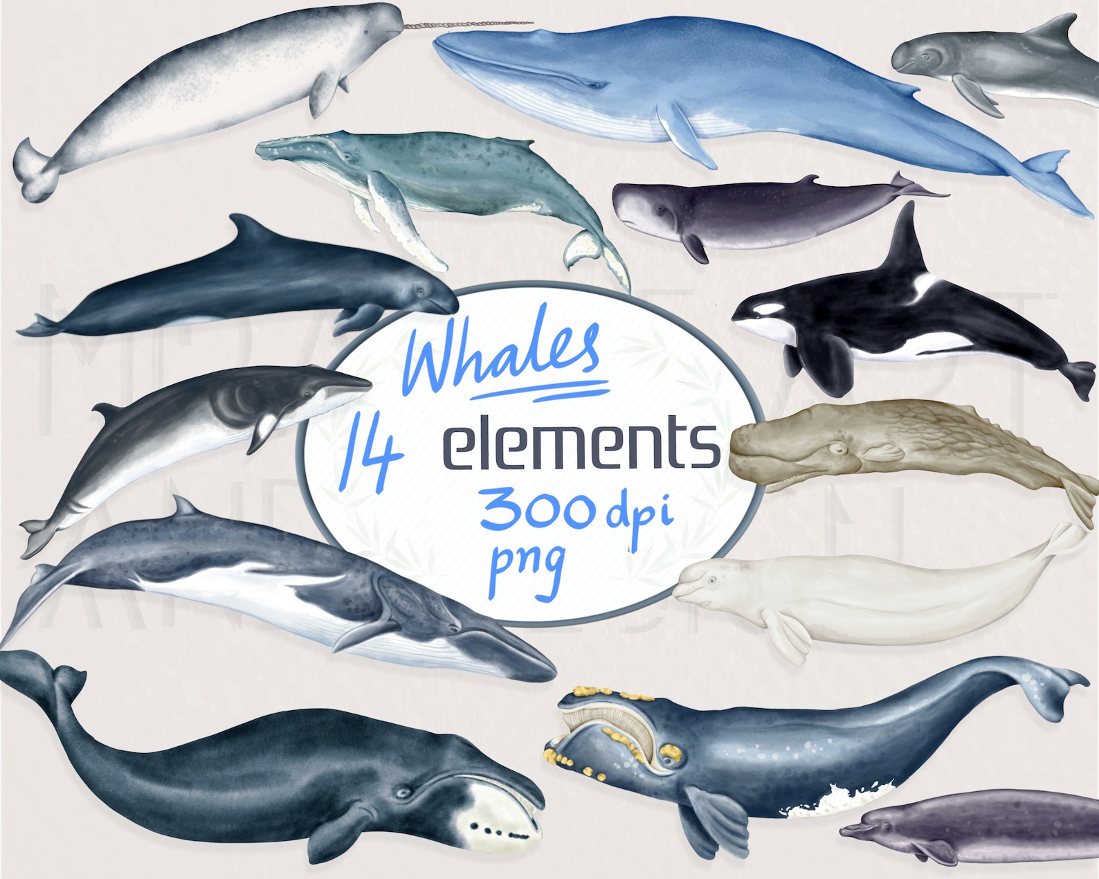 Whales Clipart Watercolor whales clip art Nautical Ocean | Etsy