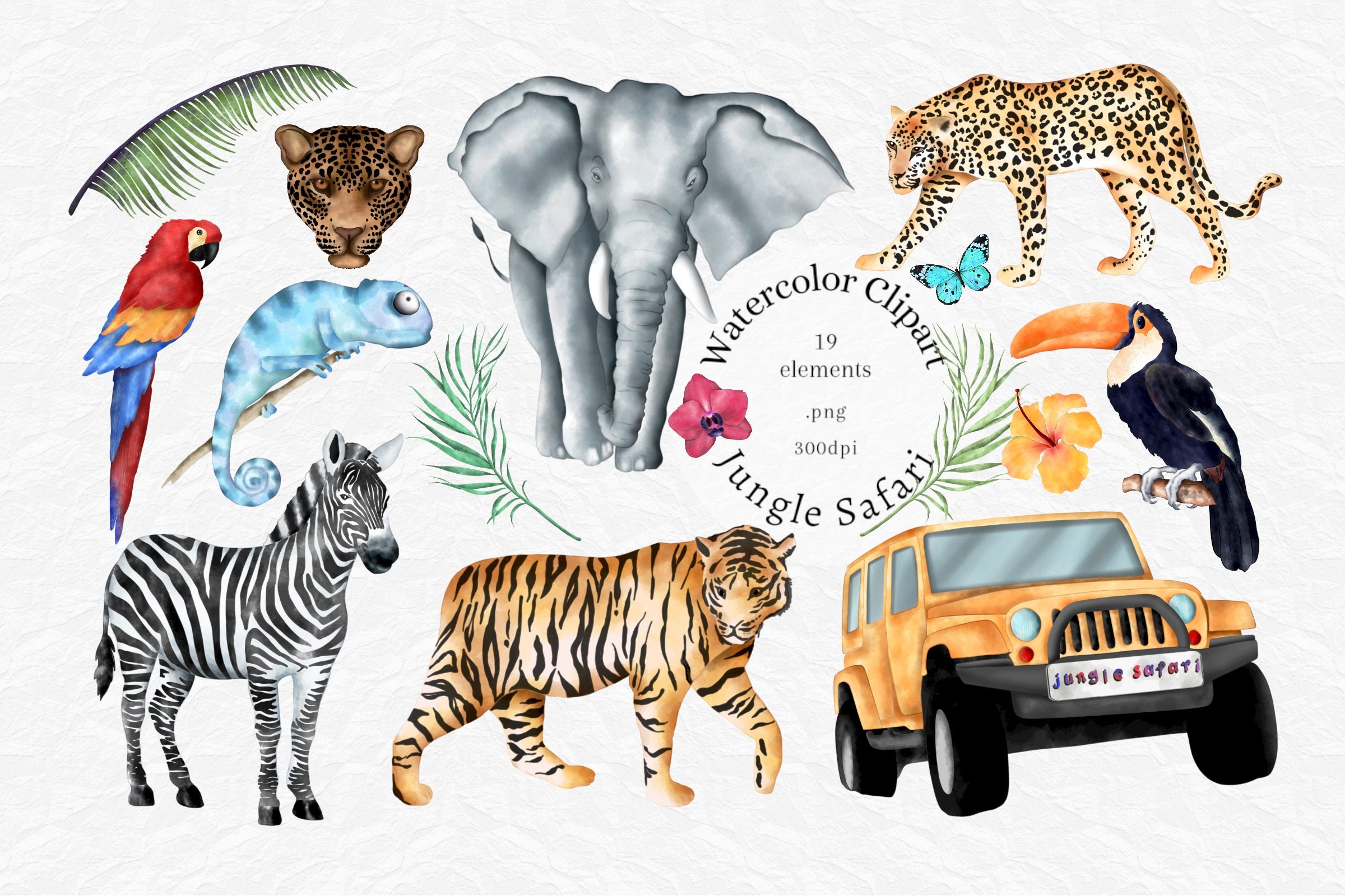 Tropical Jungle Safari Clipartwatercolor Summer Woodland Clip - Etsy