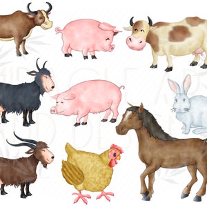 Farm Animals Clipart,watercolor Country Outdoor Clipart,barn Yard ...