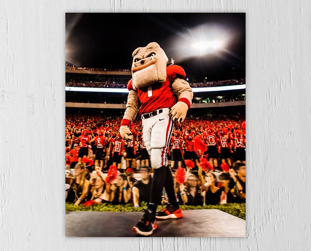 UGA: Georgia Bulldogs Hairy Dawg Hype Mascot Photo Picture - Etsy UK