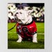 UGA Georgia Bulldogs Decal Sticker: Uga X Mascot Endzone - Etsy