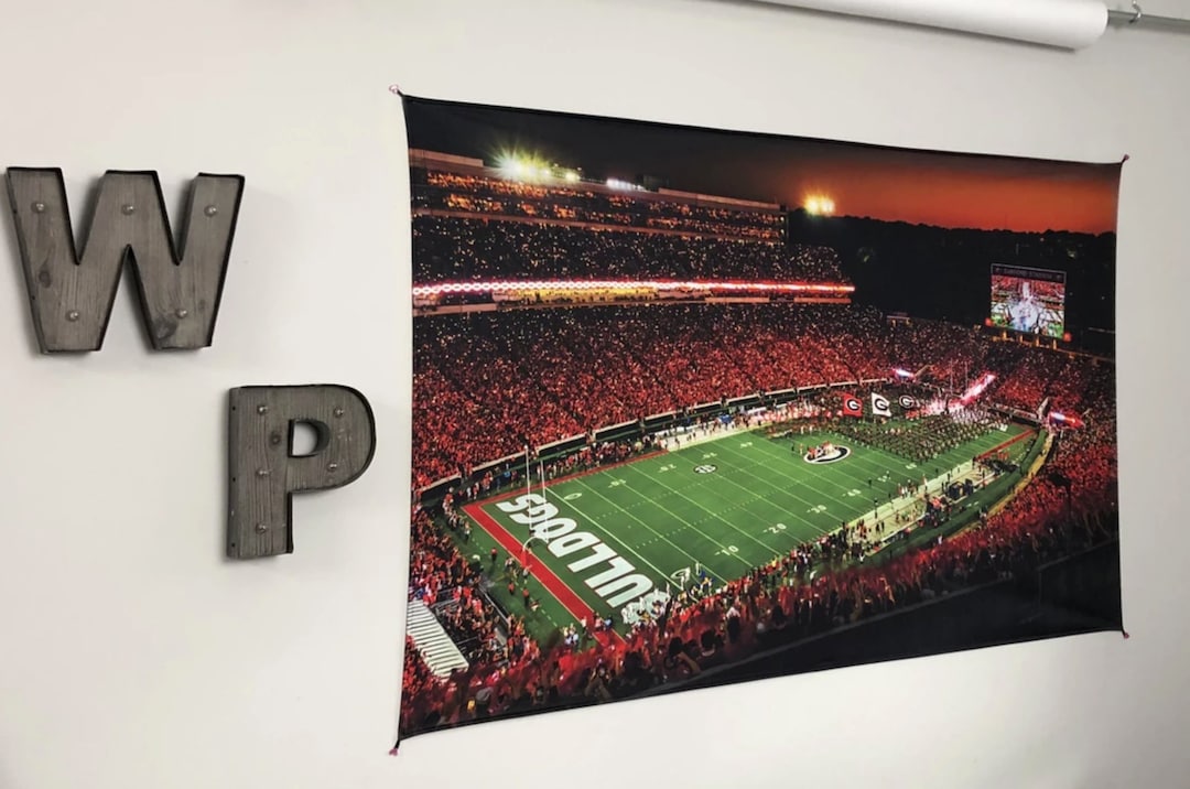 UGA Georgia Bulldogs 40x60” XXL Dawgs Vs Notre Dame Sanford Stadium ...
