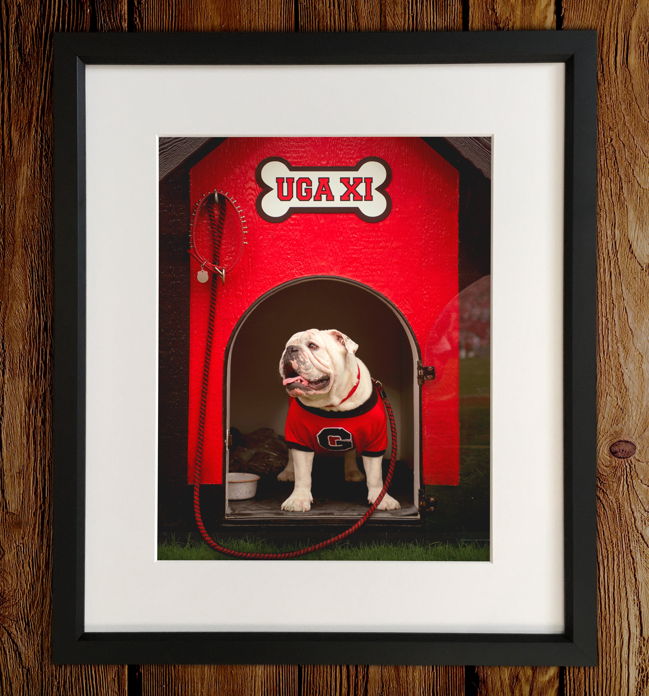 UGA Georgia Bulldogs: Uga XI Boom Dog House Maskottchen gerahmter ...