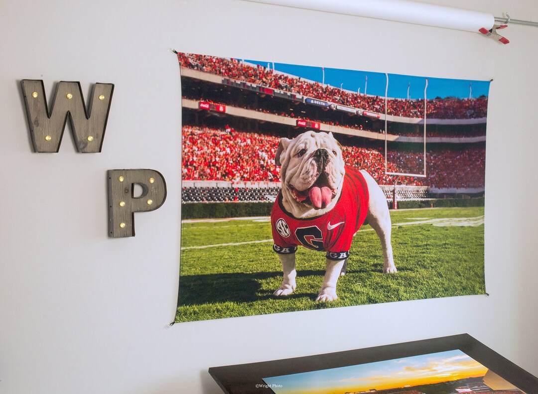 UGA Georgia Bulldogs 40x60” XXL Uga X Mascot Photo Picture Tapestry ...