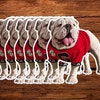 UGA Georgia Bulldogs Decal Sticker: Power G Football Helmet Vintage ...