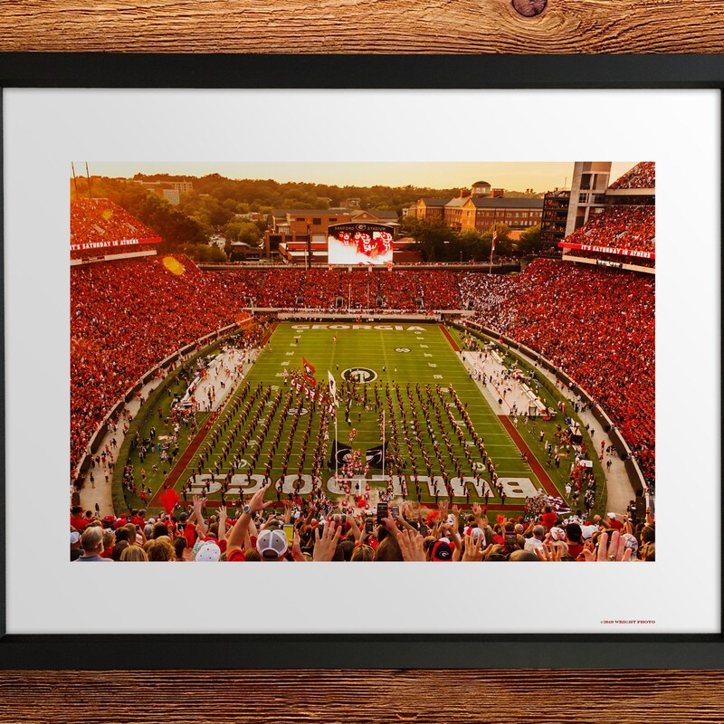 Uga Art - Etsy