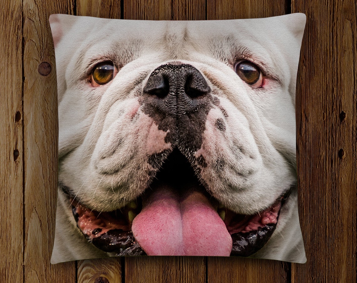 UGA: Georgia Bulldogs Uga X Mascot Closeup Throw Pillow - Etsy