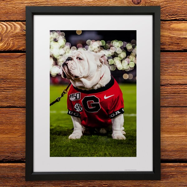 Uga Art - Etsy