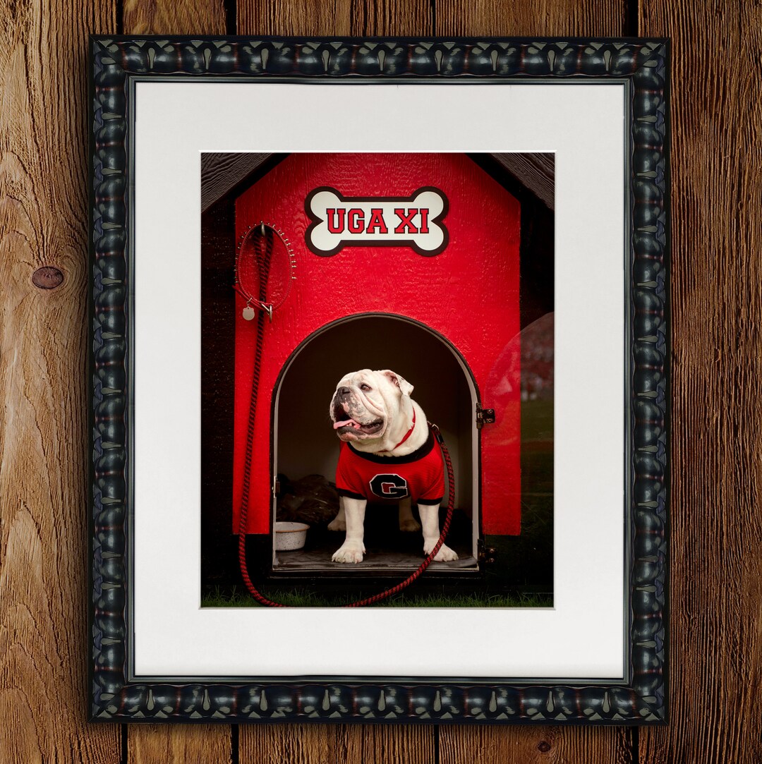 UGA Georgia Bulldogs: Uga XI Boom Dog House Maskottchen gerahmter ...