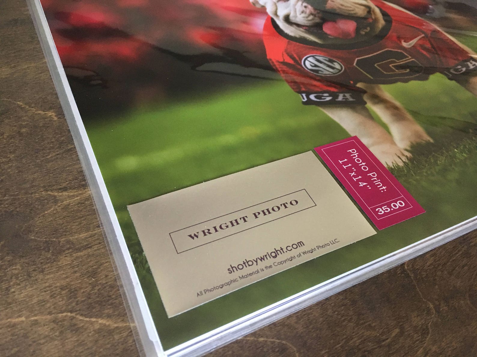 UGA: Georgia Bulldogs Uga X Mascot Photo Picture Print, Graduation Gift ...