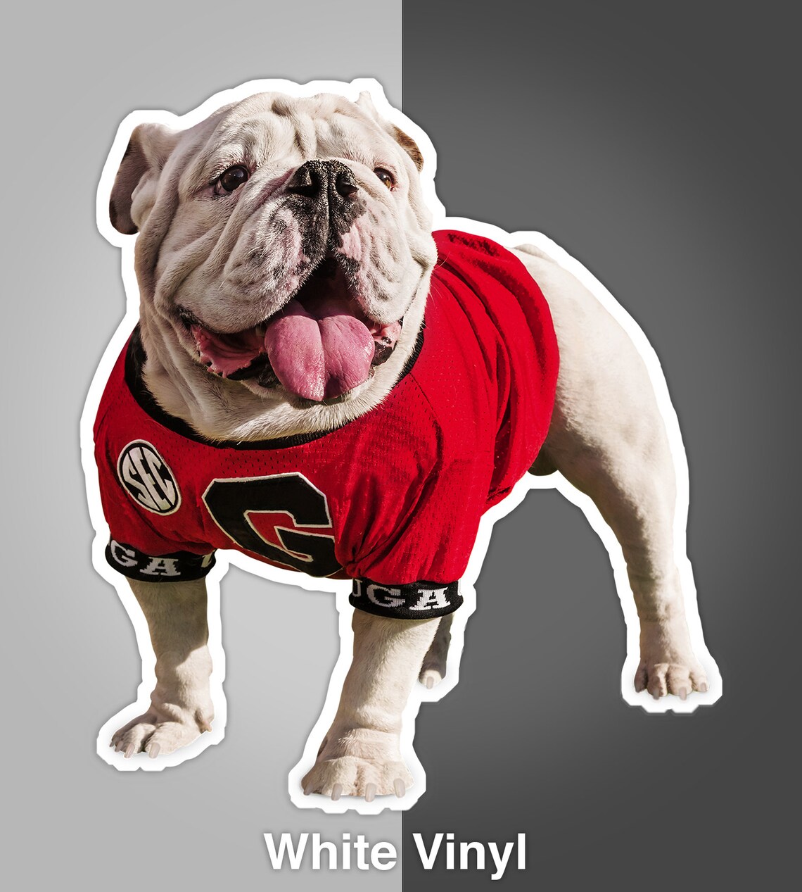 UGA Georgia Bulldogs Decal Sticker: Uga X Mascot Endzone Premium Photo ...