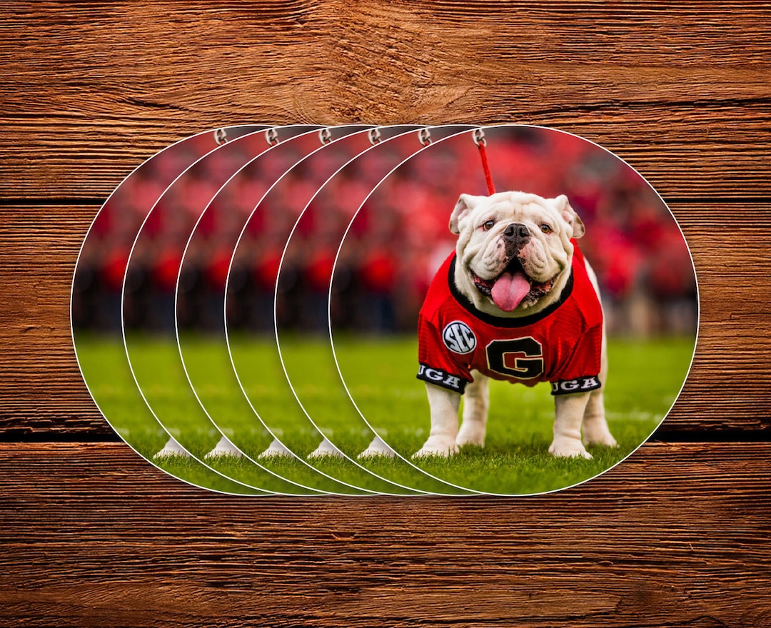 UGA Georgia Bulldogs Decal Sticker Photo - Uga X Mascot 6-pack 2.75 ...
