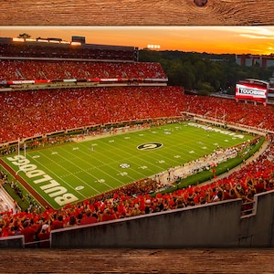 UGA Georgia Bulldogs Fridge Magnet Variety 4-pack - 2.5"x3.5" Premium Tin Plate Photo - Party ...