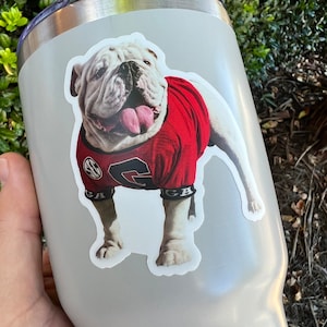 UGA Georgia Bulldogs Decal Sticker: Uga X Mascot Endzone Premium Photo ...