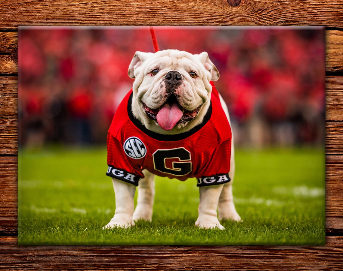 UGA Georgia Bulldogs Fridge Magnet Uga X Mascot - Etsy