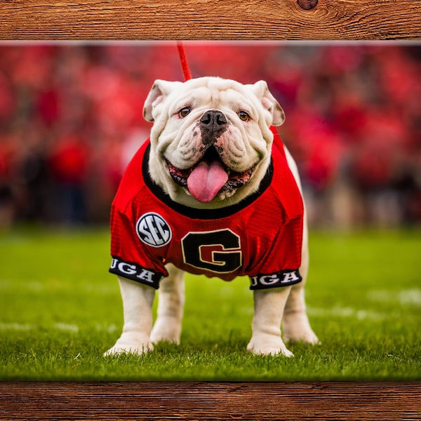 Uga - Etsy