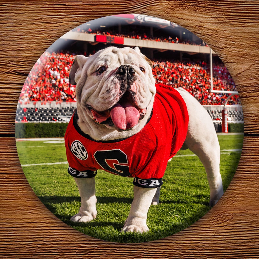 Uga X in the Endzone Mascot 3" Pin-back Button - Georgia Bulldogs Tailgating & Gifts - Etsy