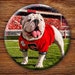 UGA Georgia Bulldogs Decal Sticker: Uga X Mascot Endzone Premium Photo ...