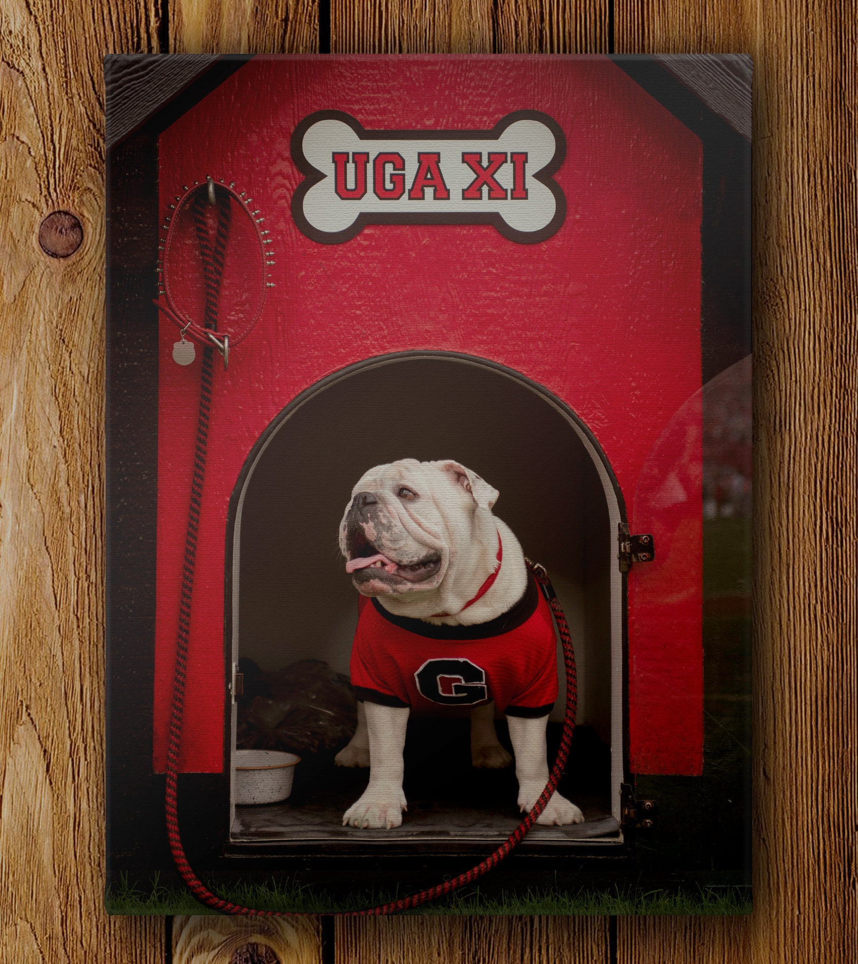 UGA: Georgia Bulldogs Uga XI Boom Dawg House Canvas Wrap Photo Picture ...