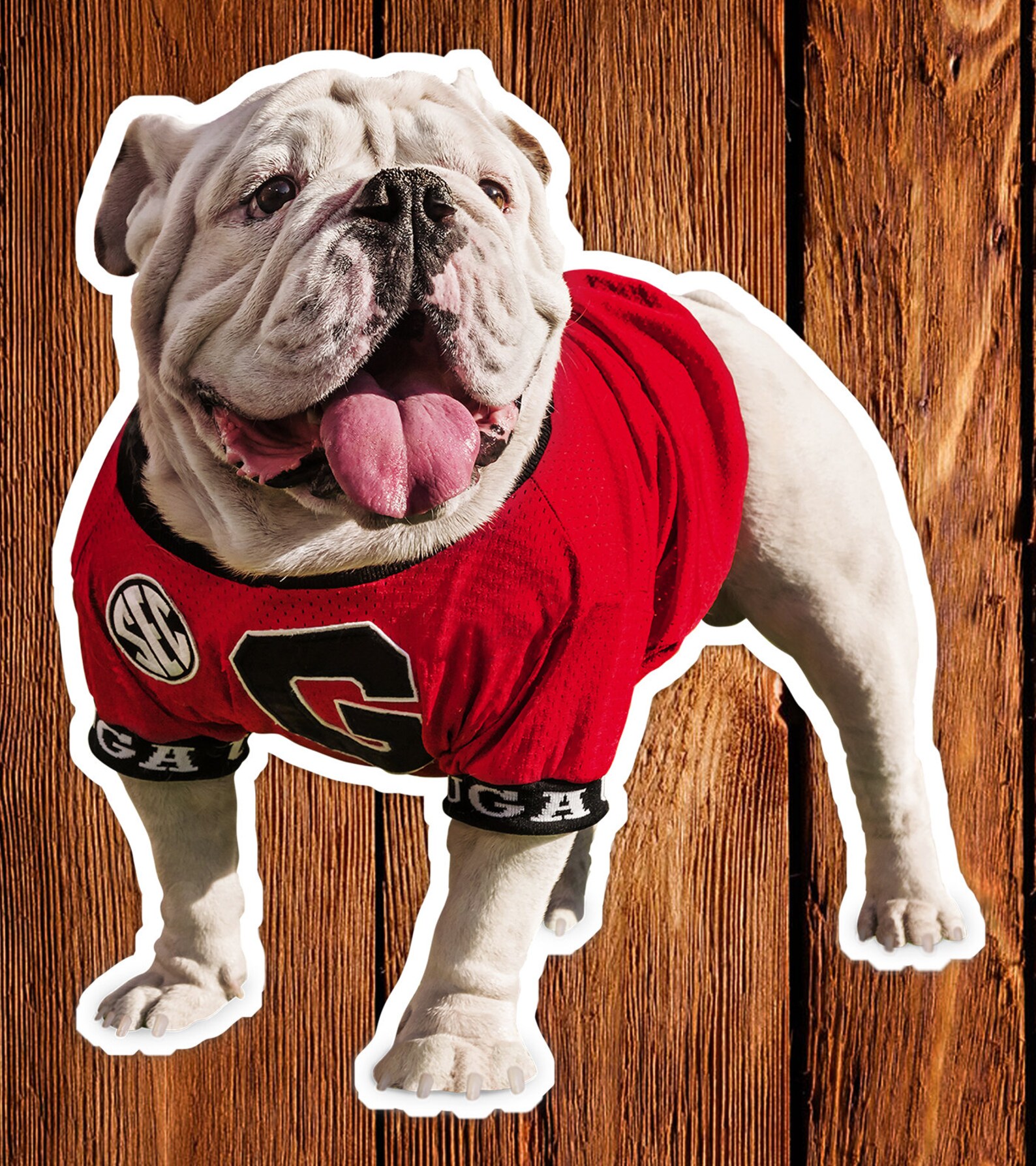 UGA Georgia Bulldogs Decal Sticker: Uga X Mascot Endzone Premium Photo ...