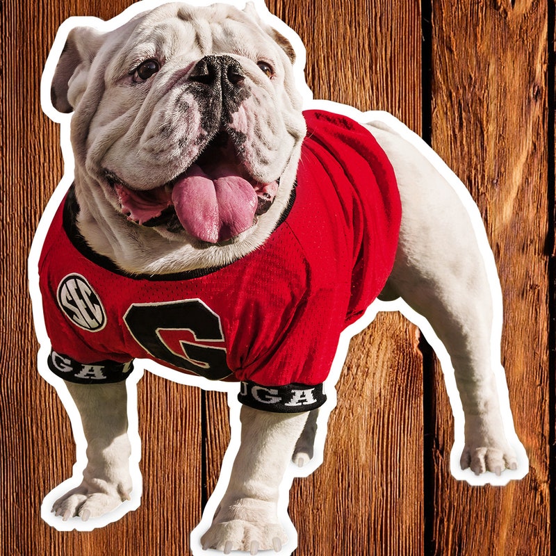 Uga Car Window Stickers - Etsy