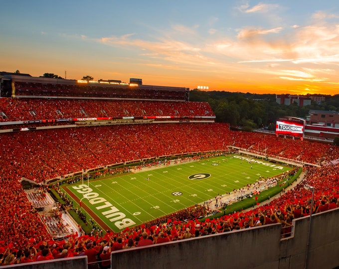 UGA: Georgia Bulldogs Sanford Stadium Redout Art Poster Decor Picture ...