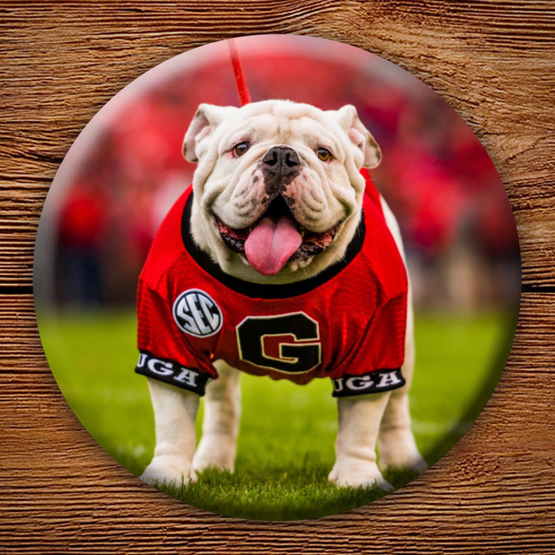 Uga X Mascot 3" Pin-back Button - Georgia Bulldogs Tailgating & Gifts - Etsy