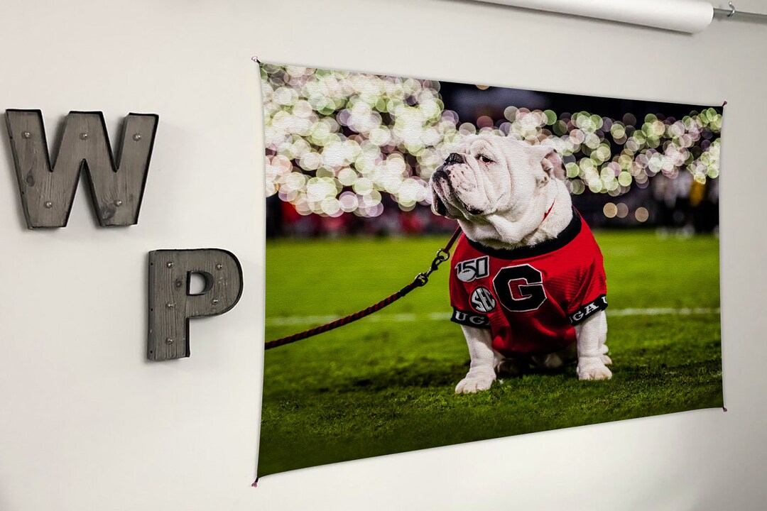UGA: Georgia Bulldogs 40x60” XXL Uga X Under the Lights Mascot Photo ...