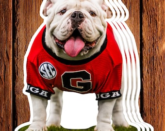 Georgia Bulldogs Vinyl Mascot Decal Sticker - Etsy
