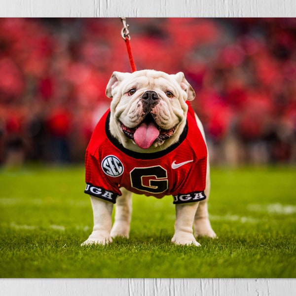 Uga Canvas - Etsy