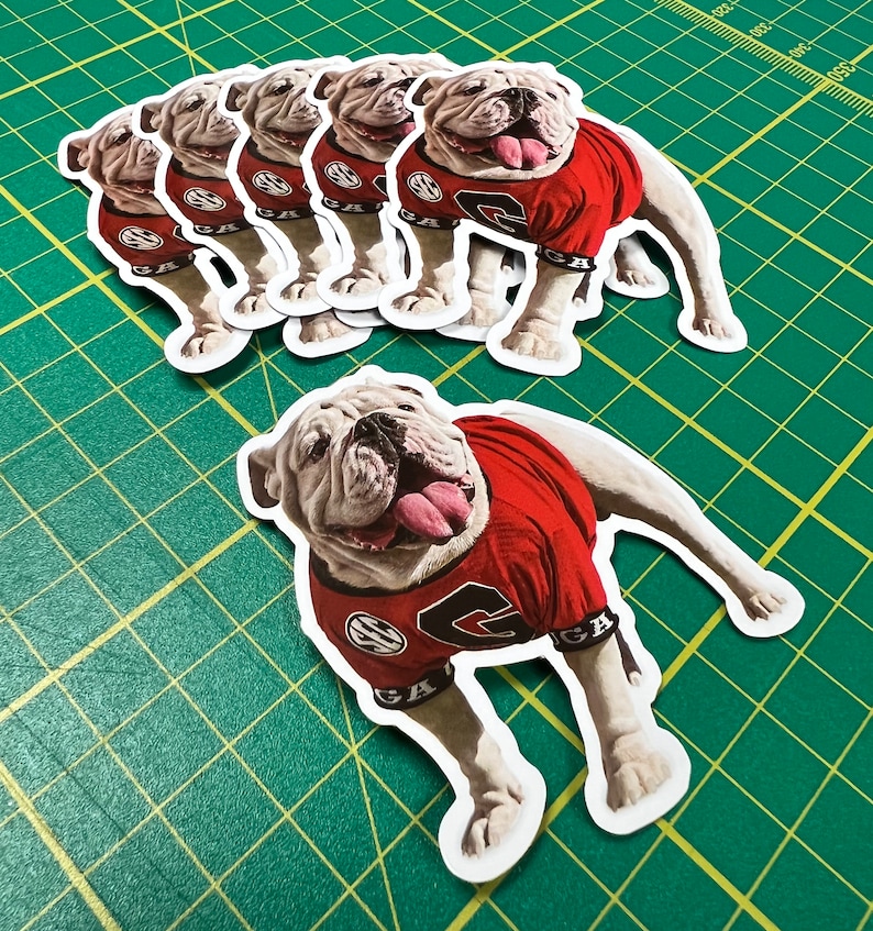 UGA Georgia Bulldogs Photo Sticker Uga X Mascot Endzone - Etsy
