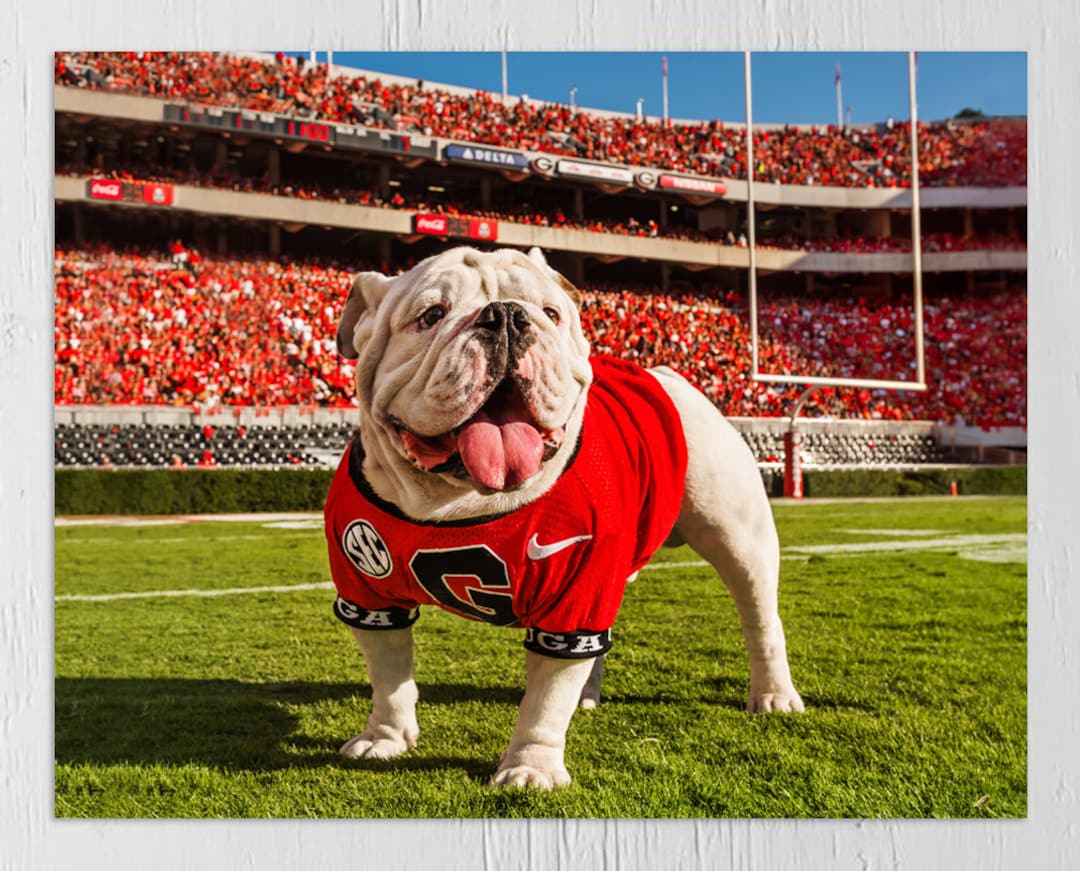 UGA: Georgia Bulldogs Uga X End Zone Photo Picture Print, Graduation ...