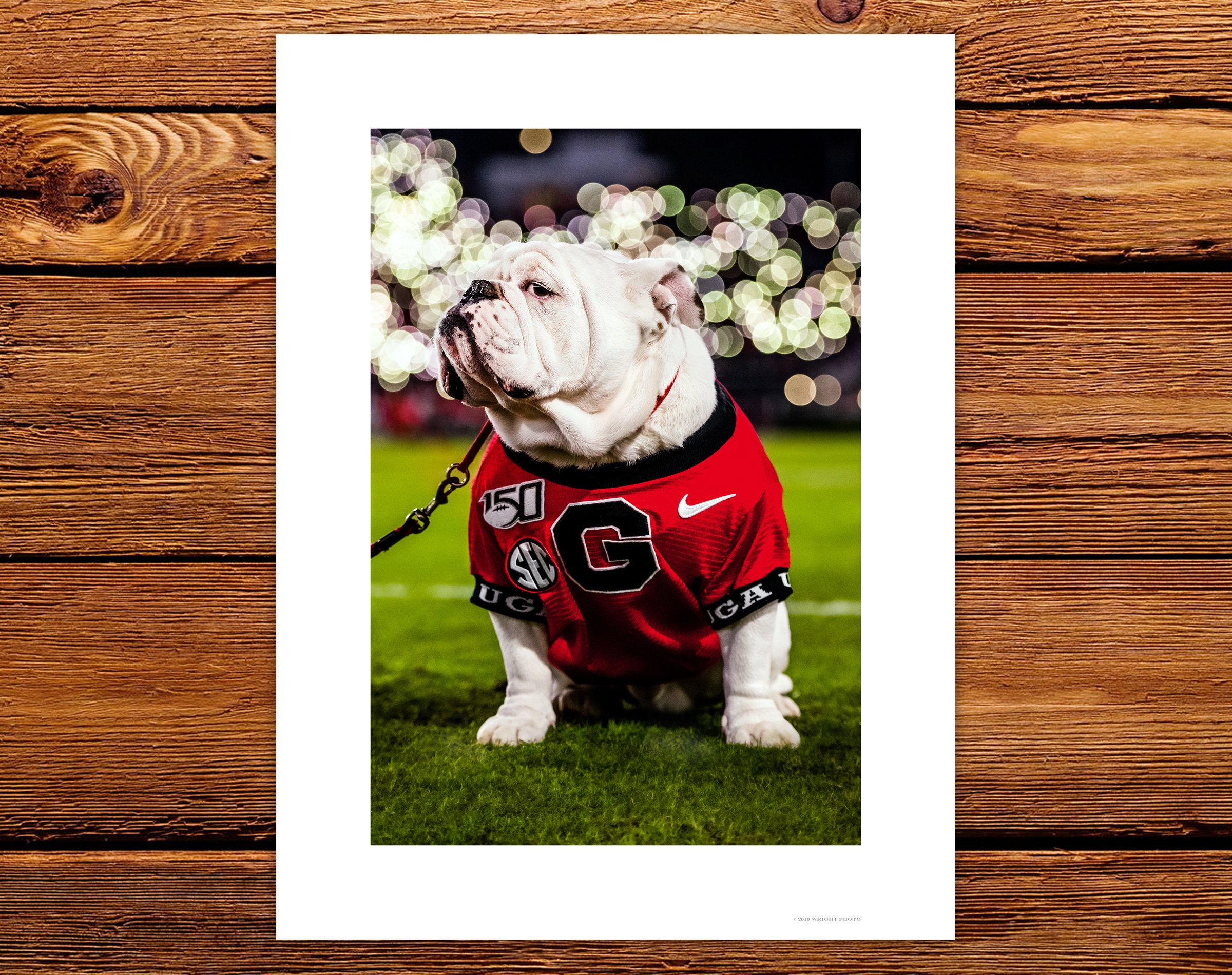 UGA: Georgia Bulldogs Uga X Mascot Under the Lights Art Poster - Etsy