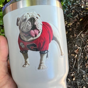 UGA Georgia Bulldogs Decal Sticker: Uga X Mascot Endzone Premium Photo ...