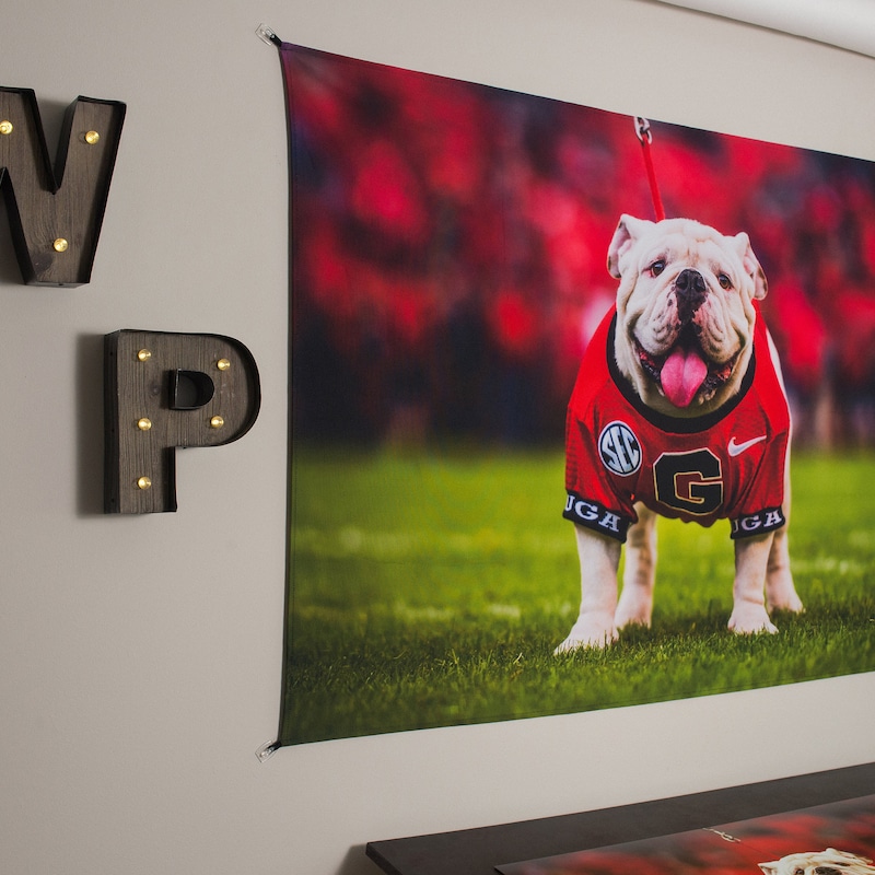 Uga Canvas - Etsy