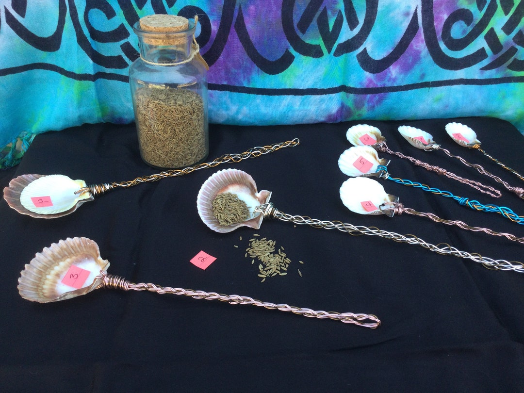 Wire Wrapped Sea Shell Spoons, Scallop Shell Spoons, Herb Spoons, Sea ...
