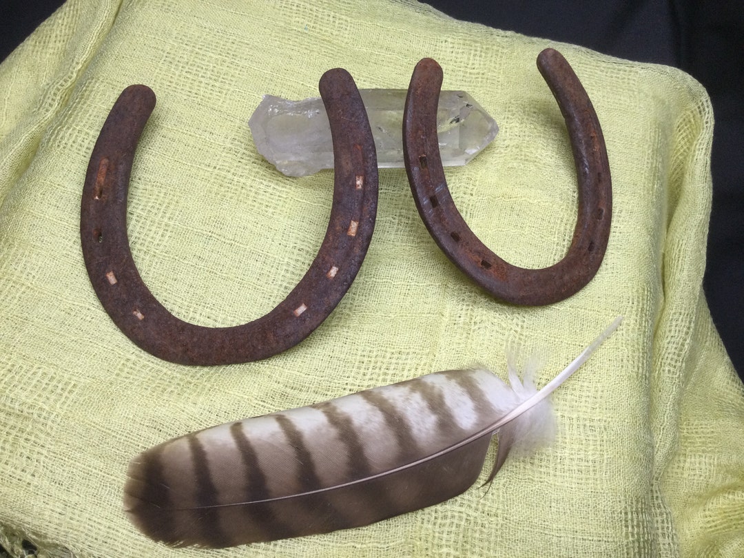 Horseshoe Good Luck Charm Ritual Tool Viking Pagan Witchcraft Wiccan ...