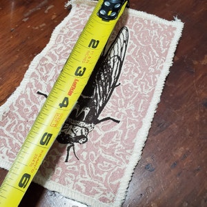 Cicada Patch Bug Patch Screen Printed Patch Sew on Art Made With ...