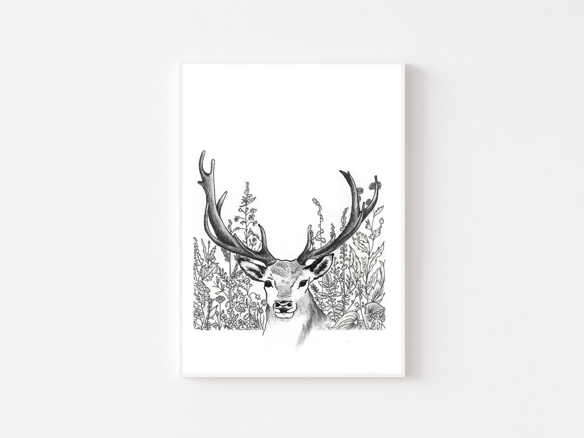Stag / Flowers / Meadow / Nature / Black & White / Monochrome / Ink ...