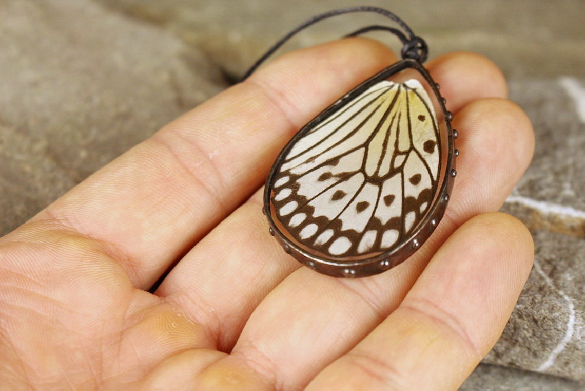 Butterfly Wings Necklace Real Butterfly Brown Wings Gift Black - Etsy