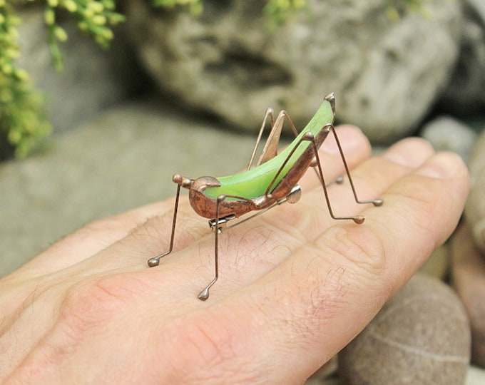 Nature Lover Gift Glass Grasshopper Insect Gift Jewelry - Etsy