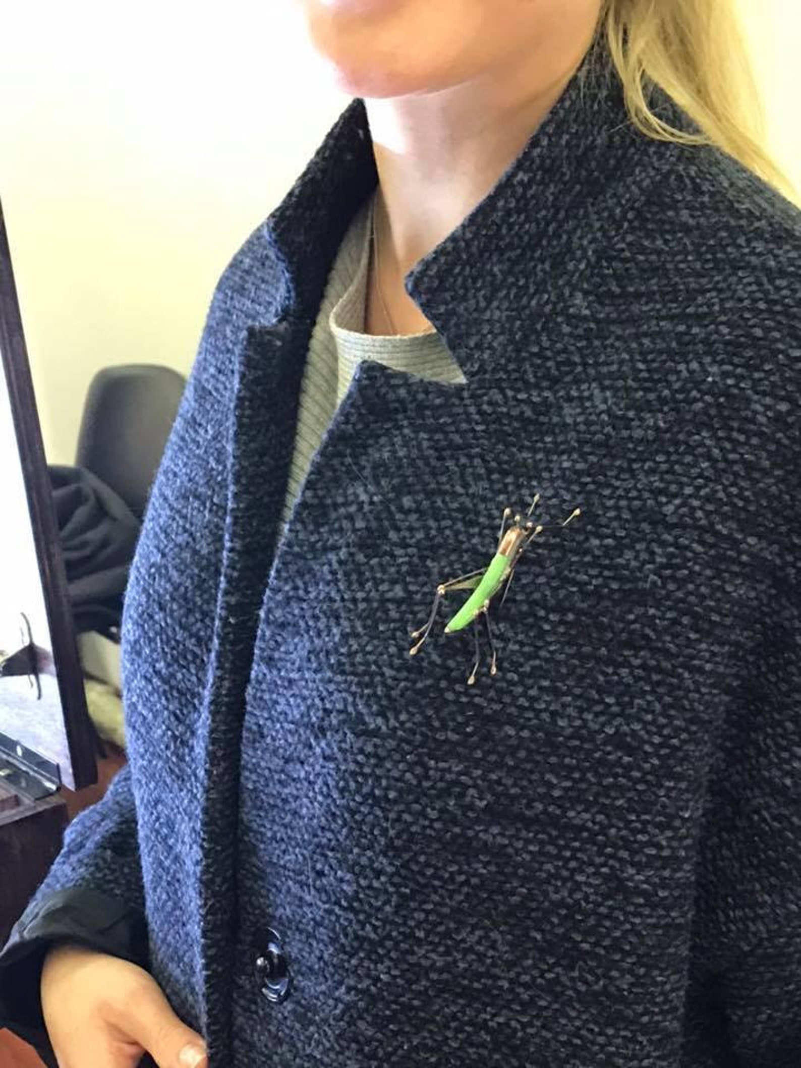 Nature Lover Gift Glass Grasshopper Insect Gift Jewelry - Etsy