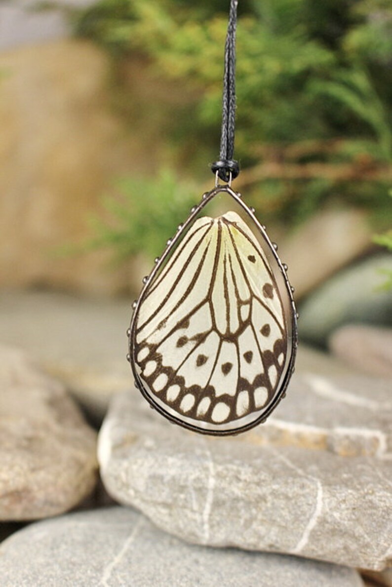 Butterfly wings necklace real Butterfly brown wings gift Black | Etsy