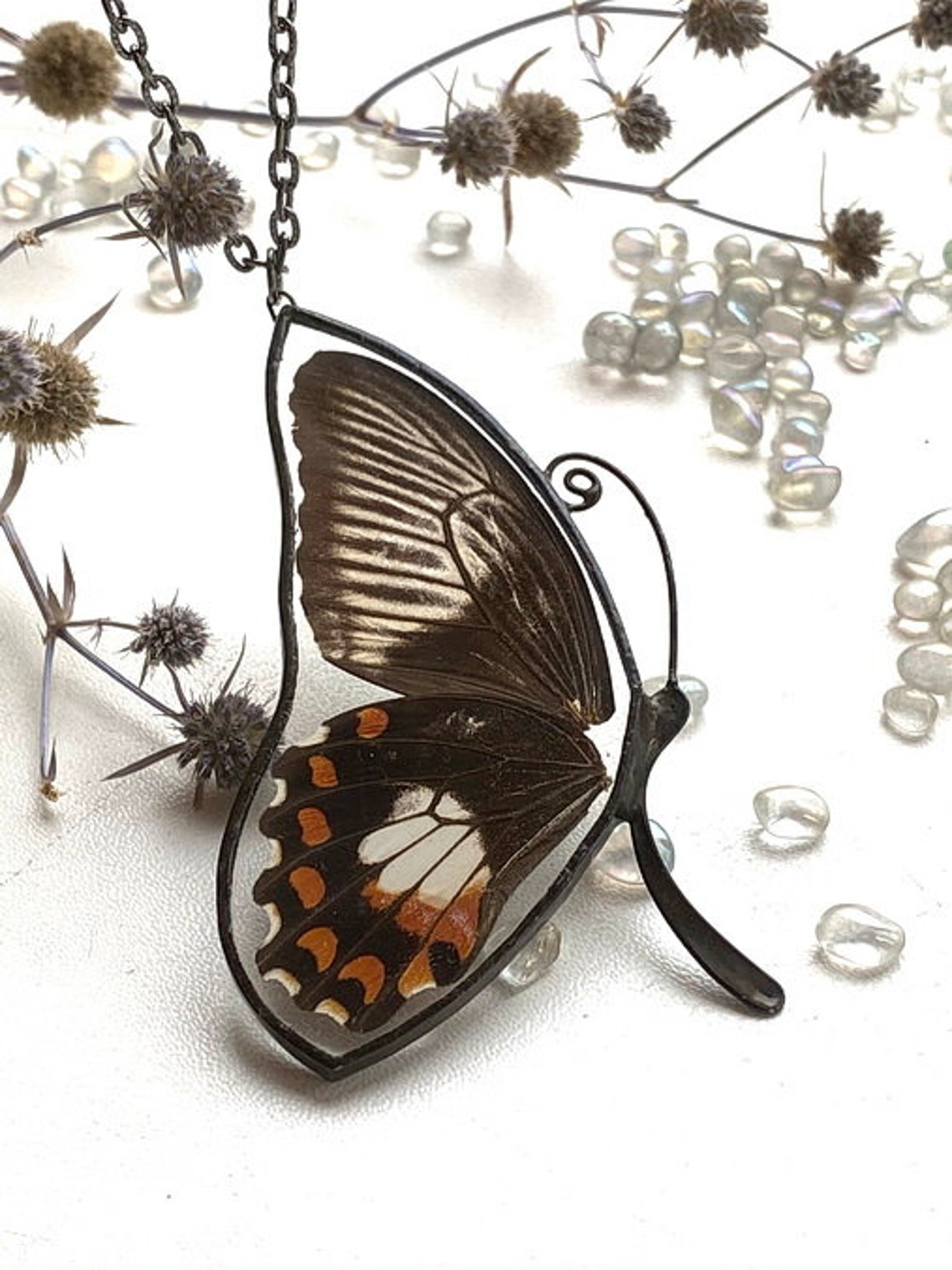 Butterfly Wings Necklace Real Butterfly Black Wings Butterfly - Etsy