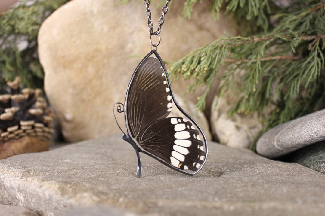 Butterfly Wings Necklace Real Butterfly Black Wings Butterfly Nature ...